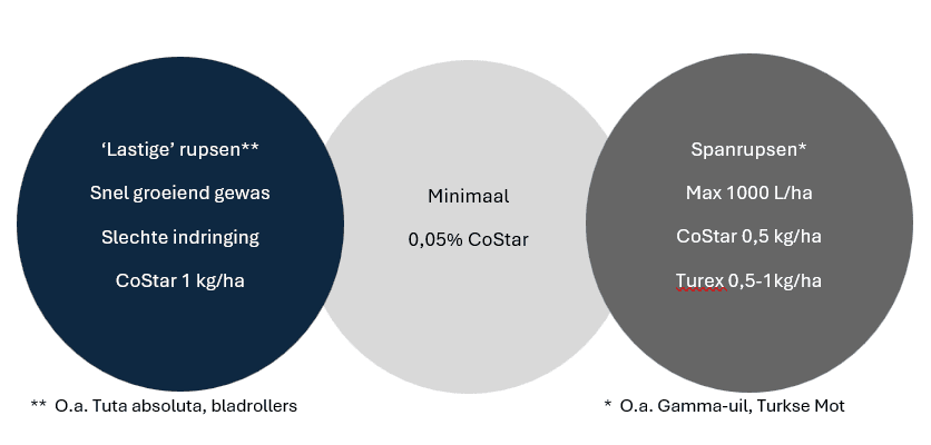 Pak rupsen biologisch aan met Costar en Turex - Certis Belchim