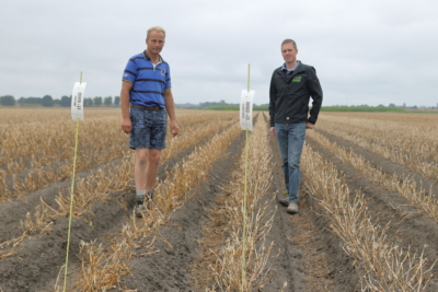 “Quickdown onmisbaar loofdoodmiddel in ons pootgoed” - Certis Belchim